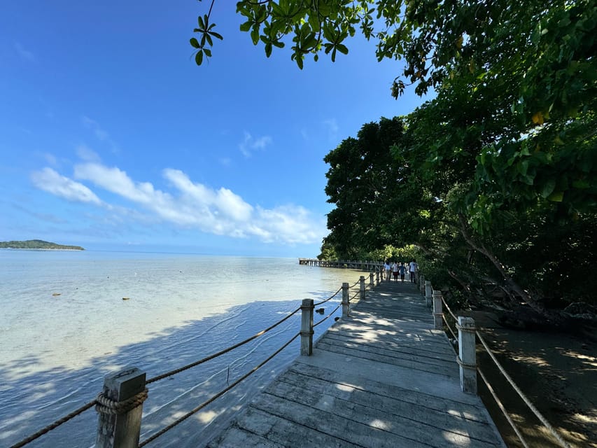 Från Puerto Princesa Dagstur Till Tabon Grottan Med Lunch Getyourguide