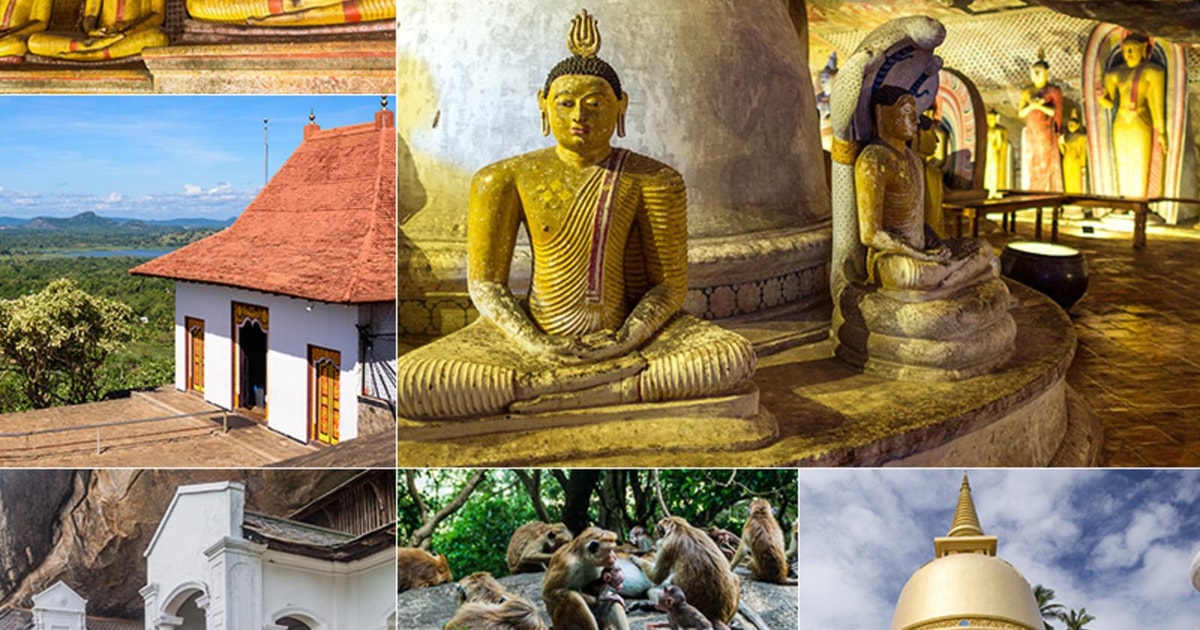 Private Day Tour Dambulla Sigiriya Village Tour | GetYourGuide