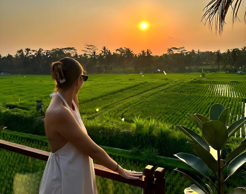 Sightseeing One Day UBUD Instagram Highlights - PRIVATE TOUR | GetYourGuide