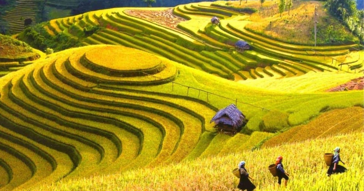 Vanuit Hanoi: Sapa 3 Dagen & Dorpen & Rijstvelden Zien | GetYourGuide