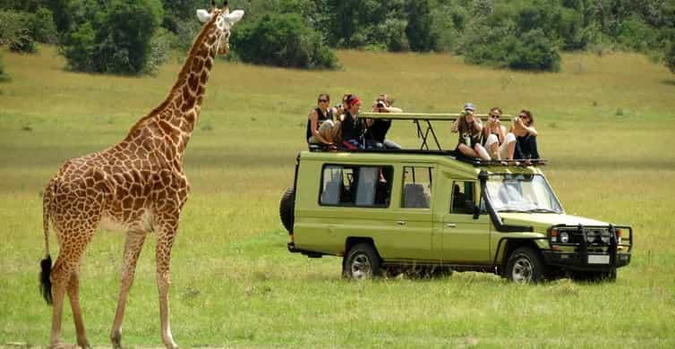 Parque Nacional de Arusha-Excursión de un día desde Arusha | GetYourGuide