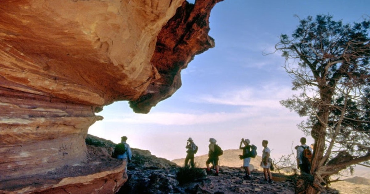 Jordanien: Amman, Petra, Wadi Rum & Totes Meer (4 Tage) | GetYourGuide