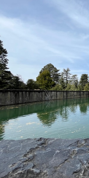 Shimla: Wildlife Sanctuary & Water Catchment Guided Tour | GetYourGuide