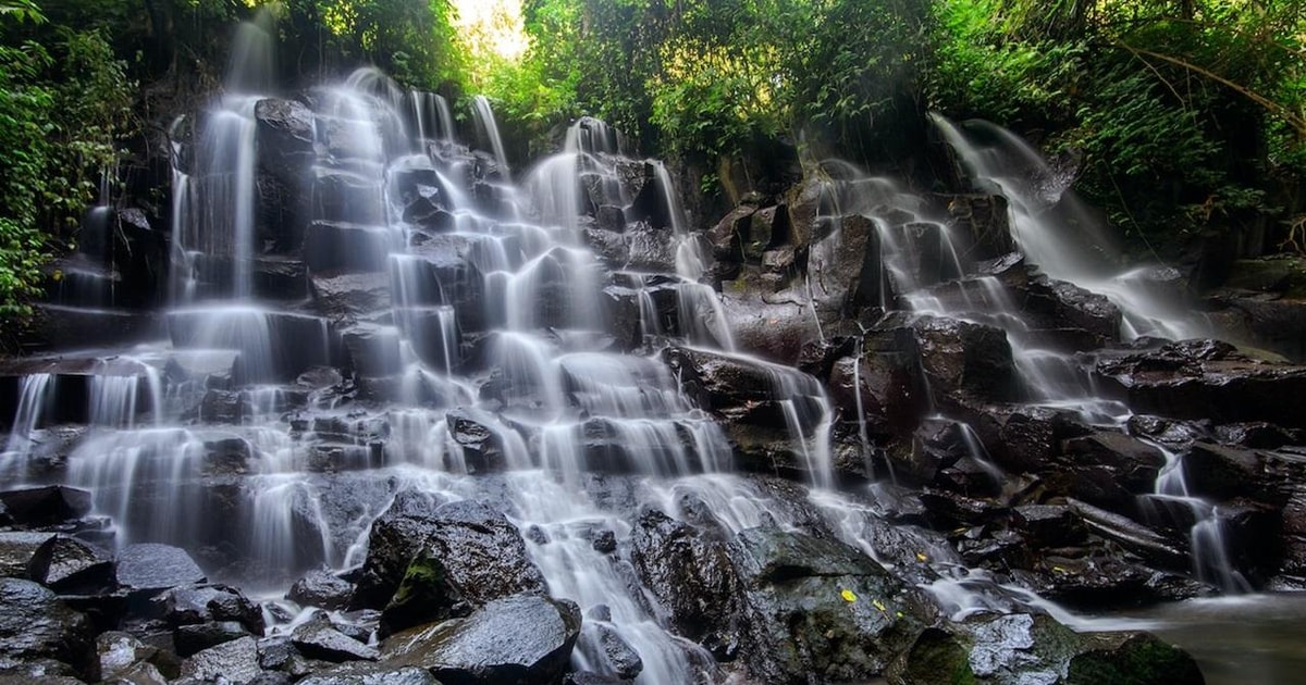 Ubud: Waterfalls and Tegalalang Rice Terrace private Tour | GetYourGuide
