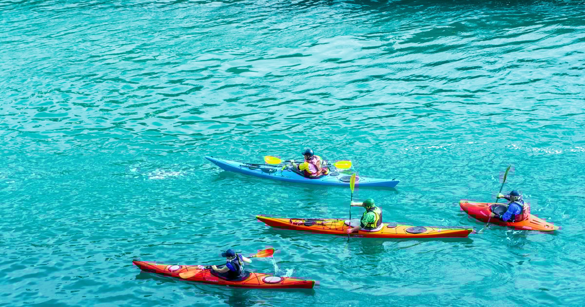 Kayık deneyimi | GetYourGuide