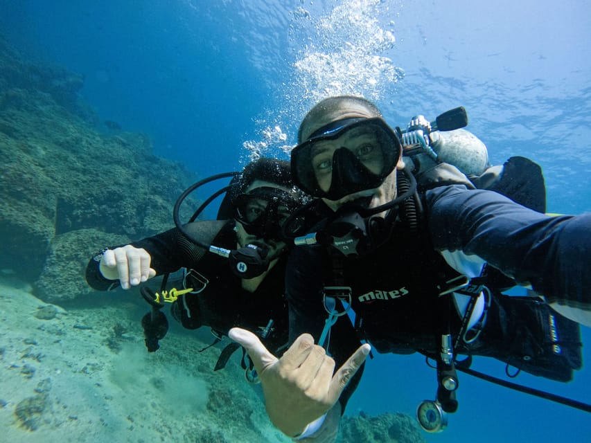 Från Dubai: Fujairah Scuba Experience för certifierade dykare ...
