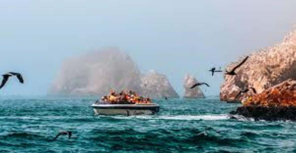 Paracas: Ballestas Islands and Candelabra Boat Tour | GetYourGuide