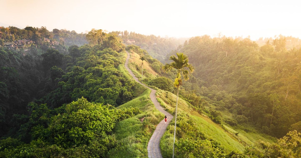 Ubud: tour cultural y joyas ocultas con almuerzo en la selva | GetYourGuide