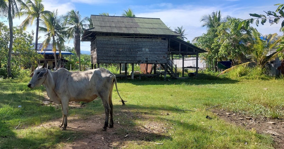 Kampot: Jason's Bicycle Tour of Kampot | GetYourGuide