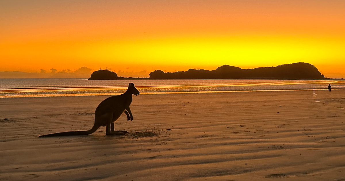 Mackay: 2-Day Adventure Package w/Accomm, Transfers & Tours | GetYourGuide