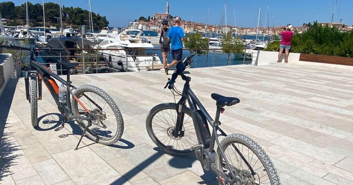 Tour privé à vélo avec prise en charge et retour depuis Zurich ...