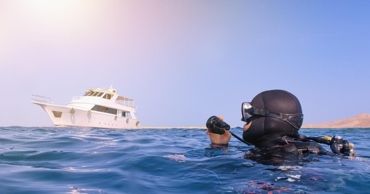 Hurghada: Heldags dykkeroplevelse for begyndere | GetYourGuide
