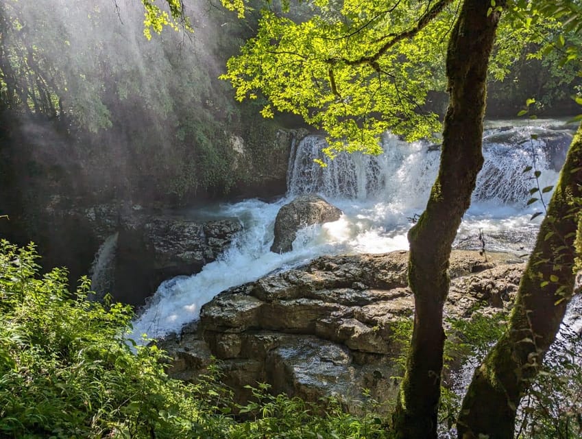Kutaisi: Prometheus Cave & Martvili Canyon Guided Tours | GetYourGuide