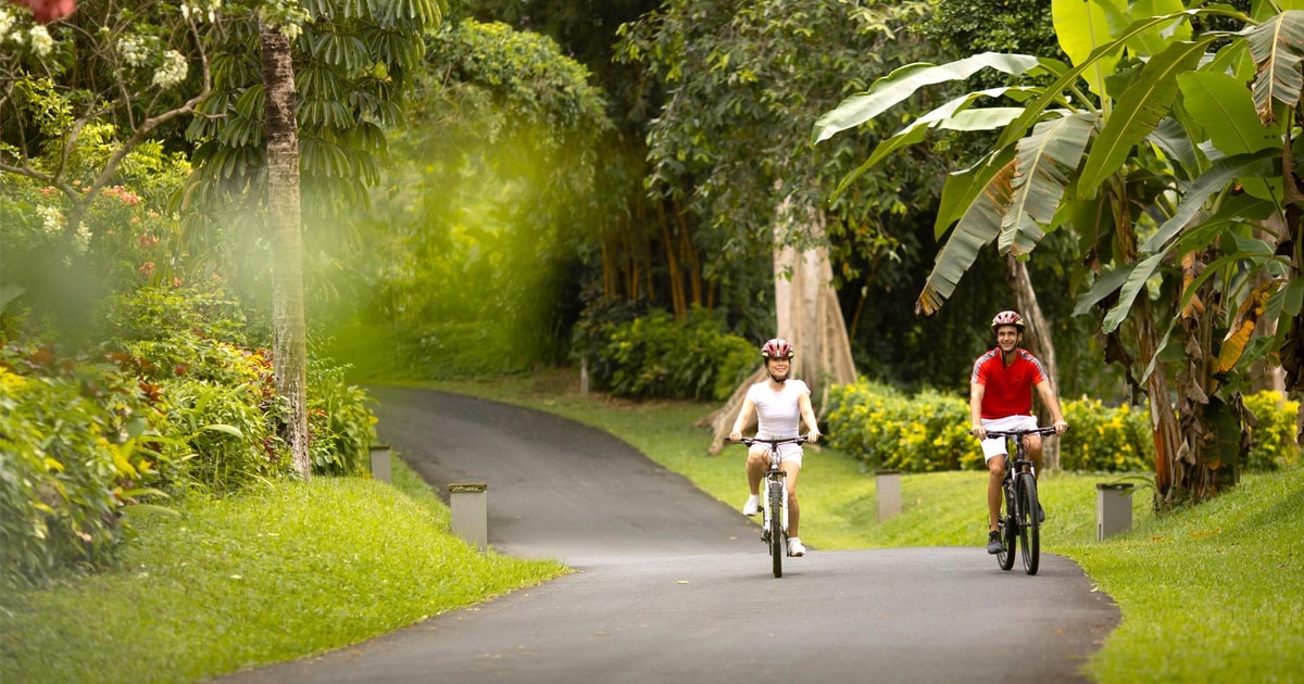 Ubud Bike With Waterfall & Butterfly Park Options | GetYourGuide