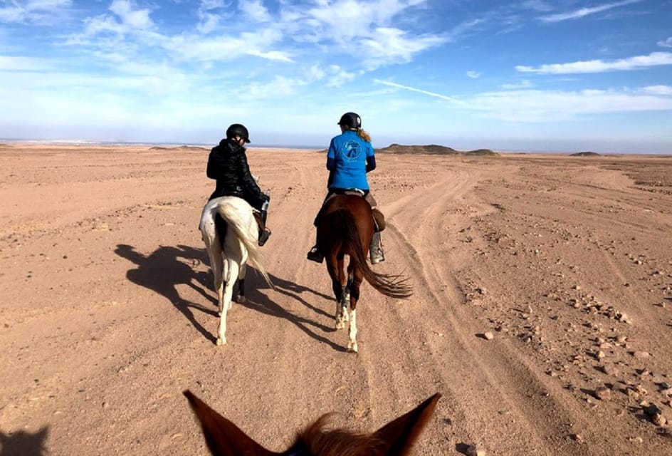 Hurghada: Horse Riding in Desert With Private Transfer | GetYourGuide