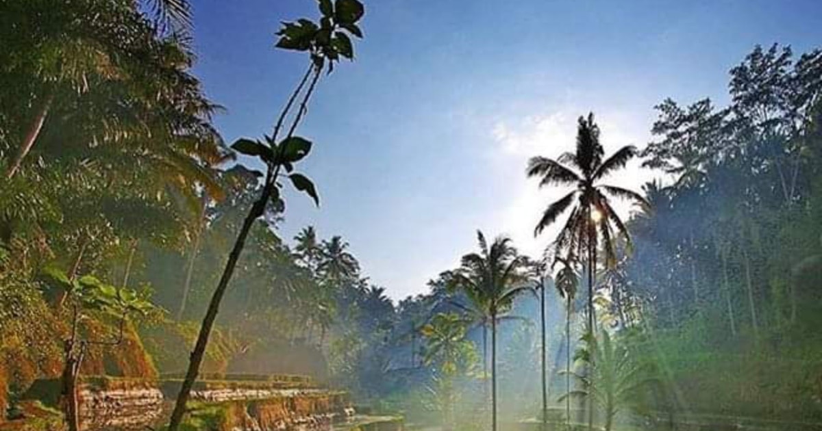 Ubud: tegalalang, waterfall & Holy water temple, bali swing | GetYourGuide
