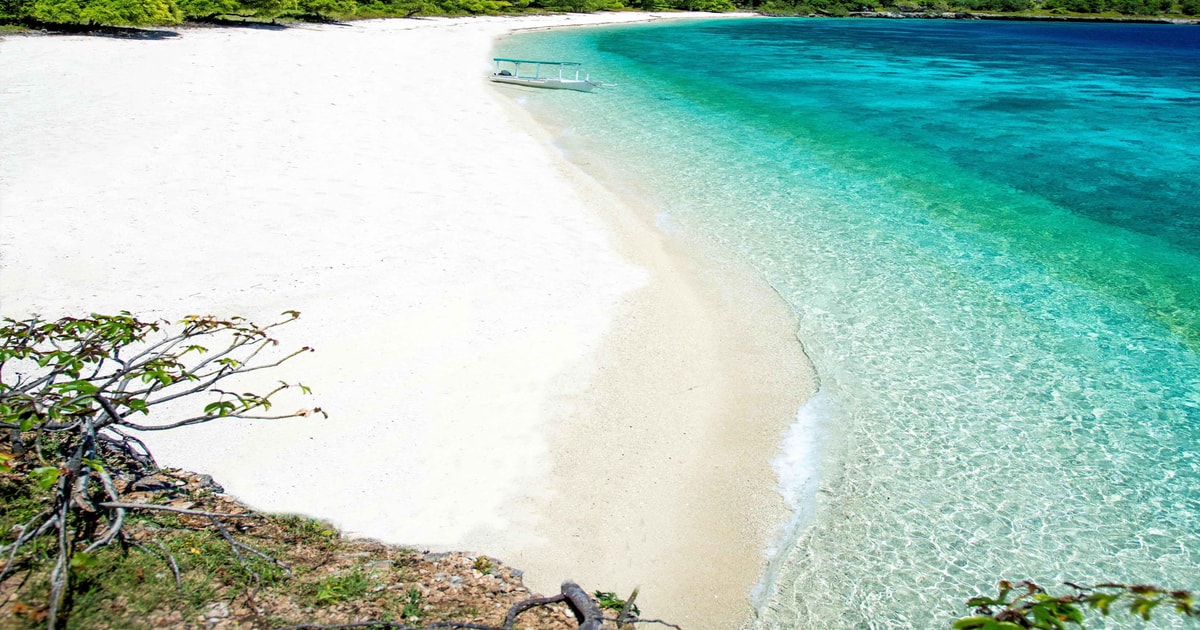 Vieques Adventure by Ferry from Ceiba. | GetYourGuide