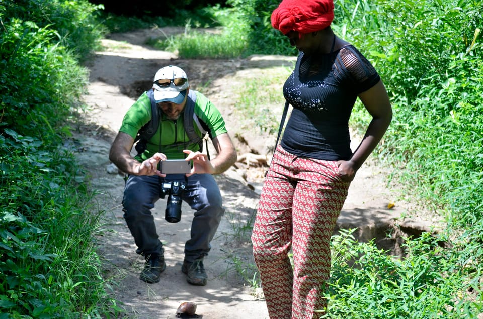 Pugu-Wald-Wanderung | GetYourGuide