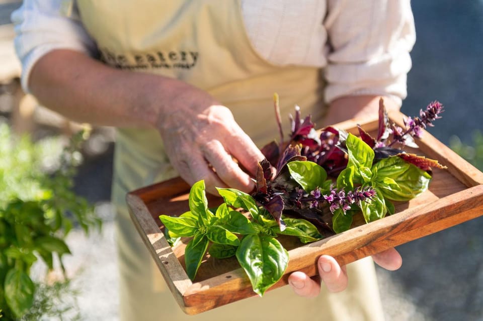 Maggie Beer's Farm Hands-on Cooking School and Lunch | GetYourGuide