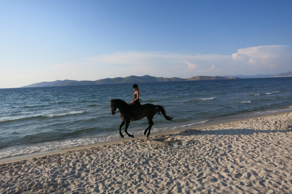 Kos: Horse Riding Experience on the Beach with Instructor | GetYourGuide