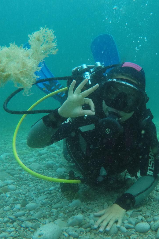 Florianópolis: Scuba Diving with Round Trip Transportation | GetYourGuide