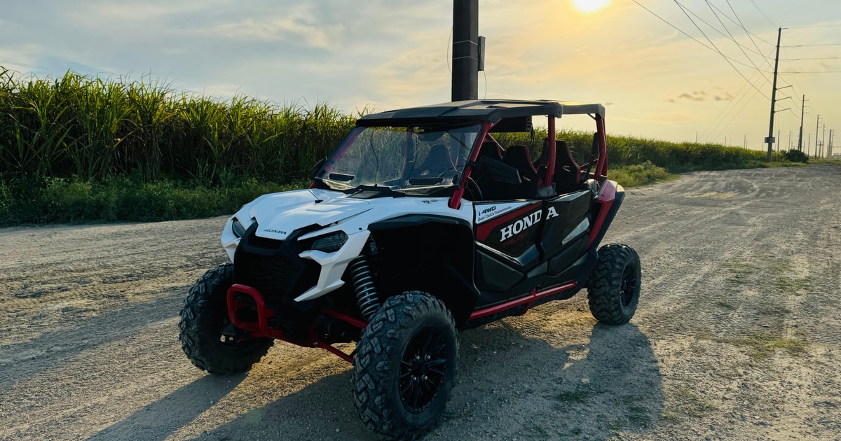 Miami's Ultimate Buggy Adventure on a Honda Talon UTV | GetYourGuide