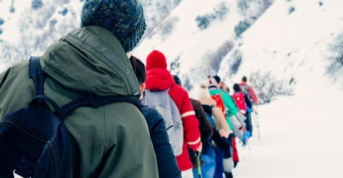 From Kathmandu: 3-Day Kalinchowk Trek | GetYourGuide