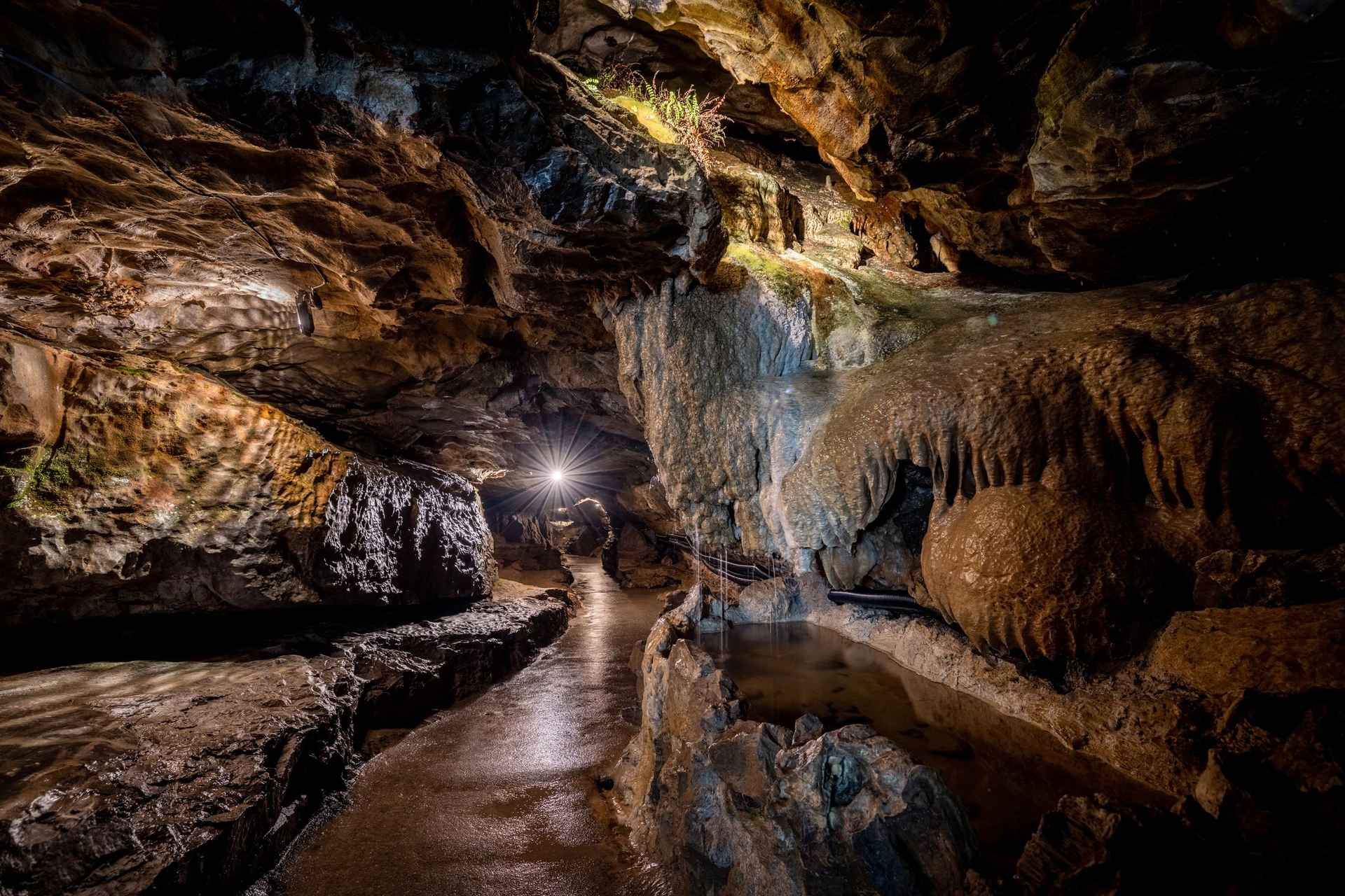 Beatenberg: Entrada a las Cuevas de Beatus con Museo | Guide to Europe