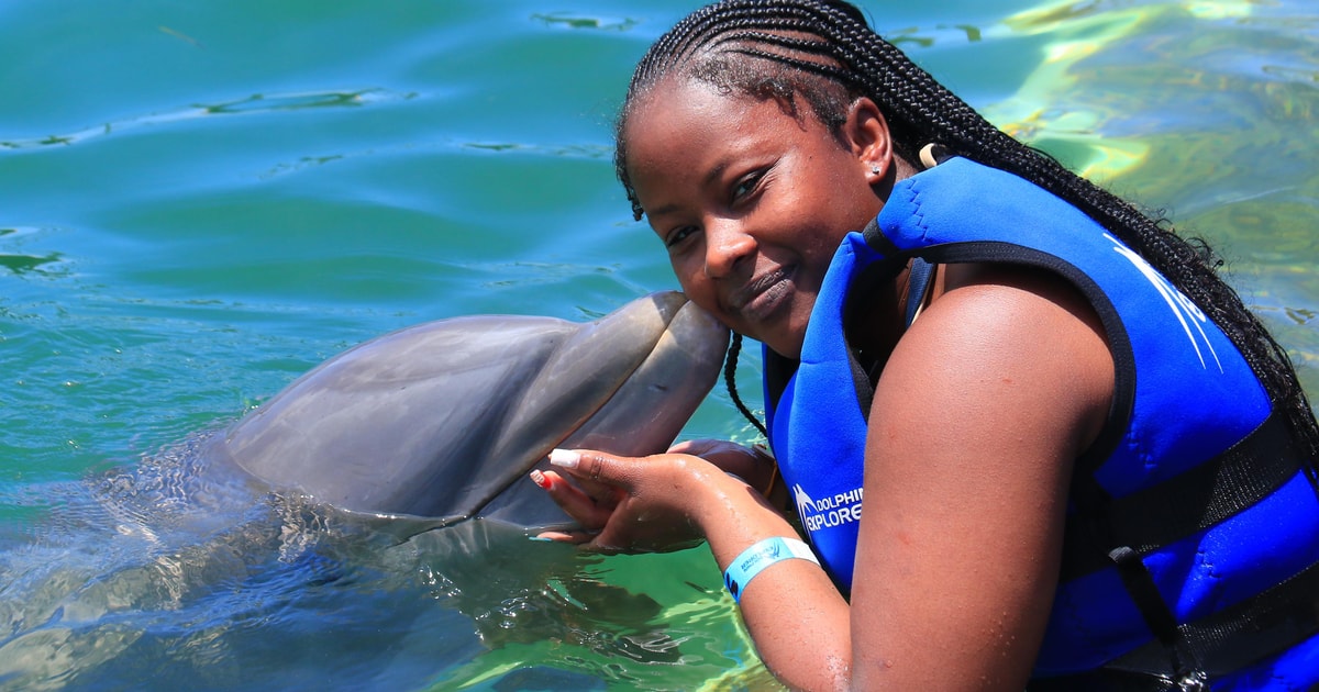 Punta Cana Dolphin Swim Adventure: 40-min Dolphin Experience | GetYourGuide