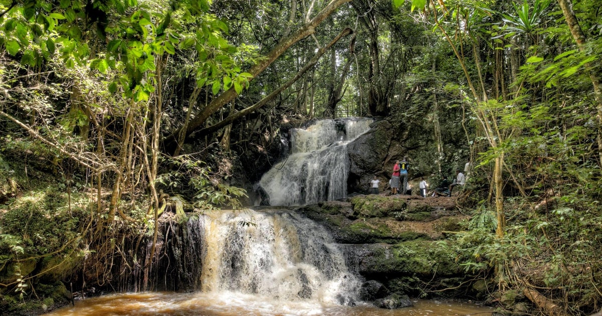 Nairobi: Karura Forest Nature Walk | GetYourGuide