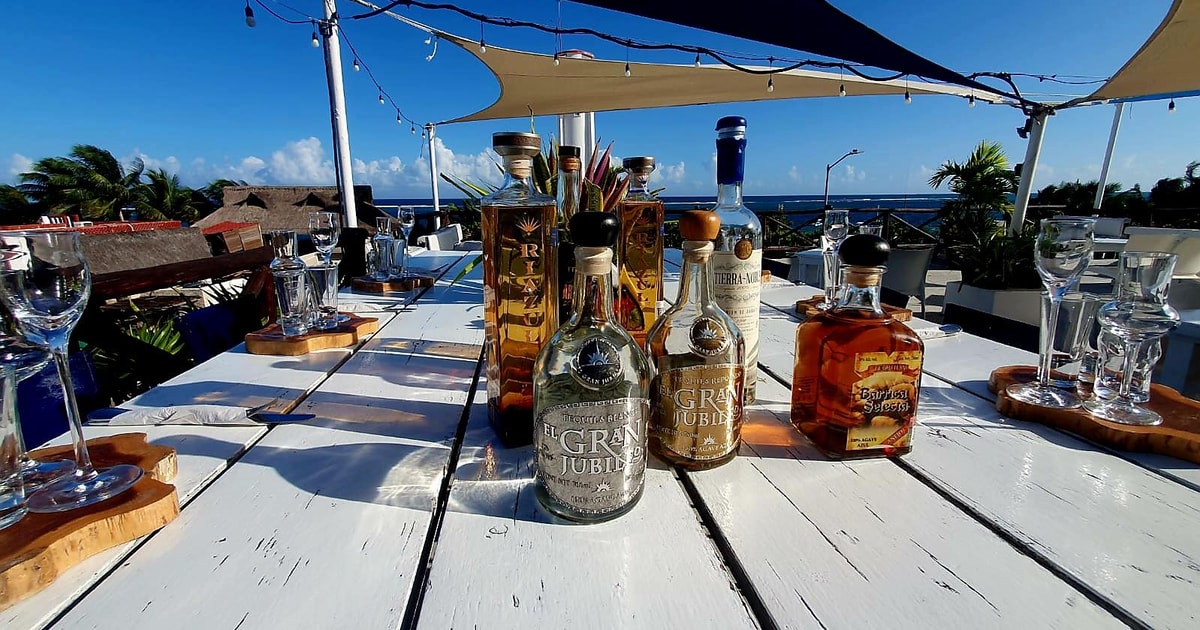 Puerto Morelos: Tequila University Gourmet Experience | GetYourGuide