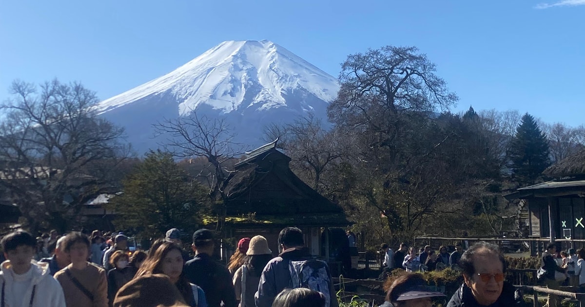 Von Tokio aus: Private Tagestour zum Berg Fuji mit Abholung | GetYourGuide