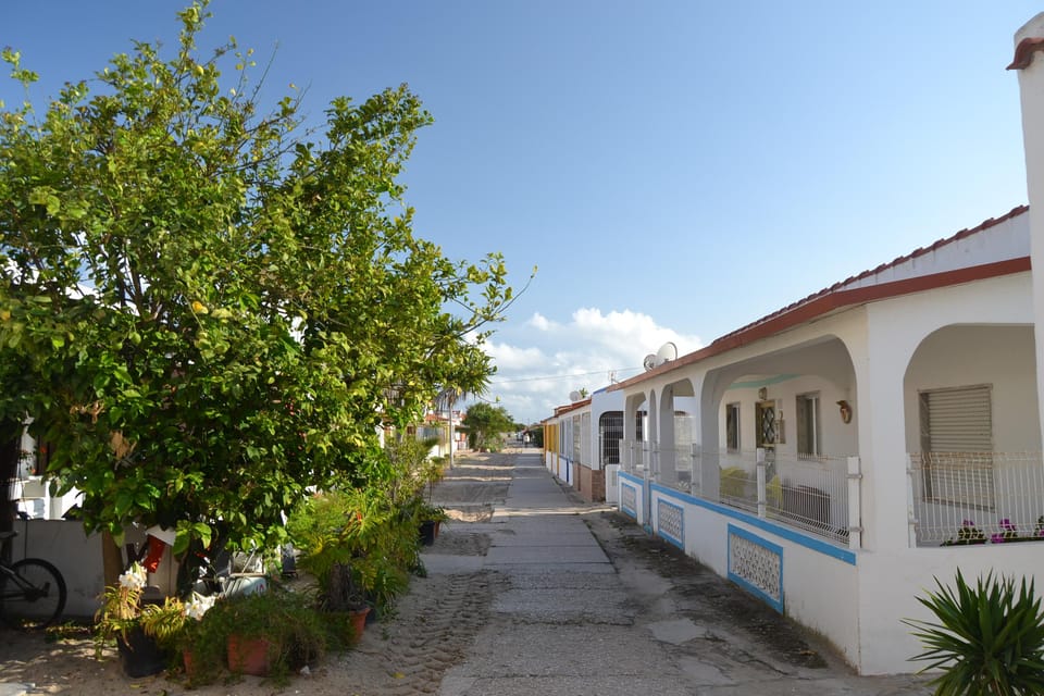 Tam günlük tekne turu: Ria Formosa ve Faro Adaları 3 durak | GetYourGuide