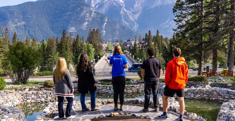 Banff: Wildlife and Sightseeing Minibus Tour | GetYourGuide