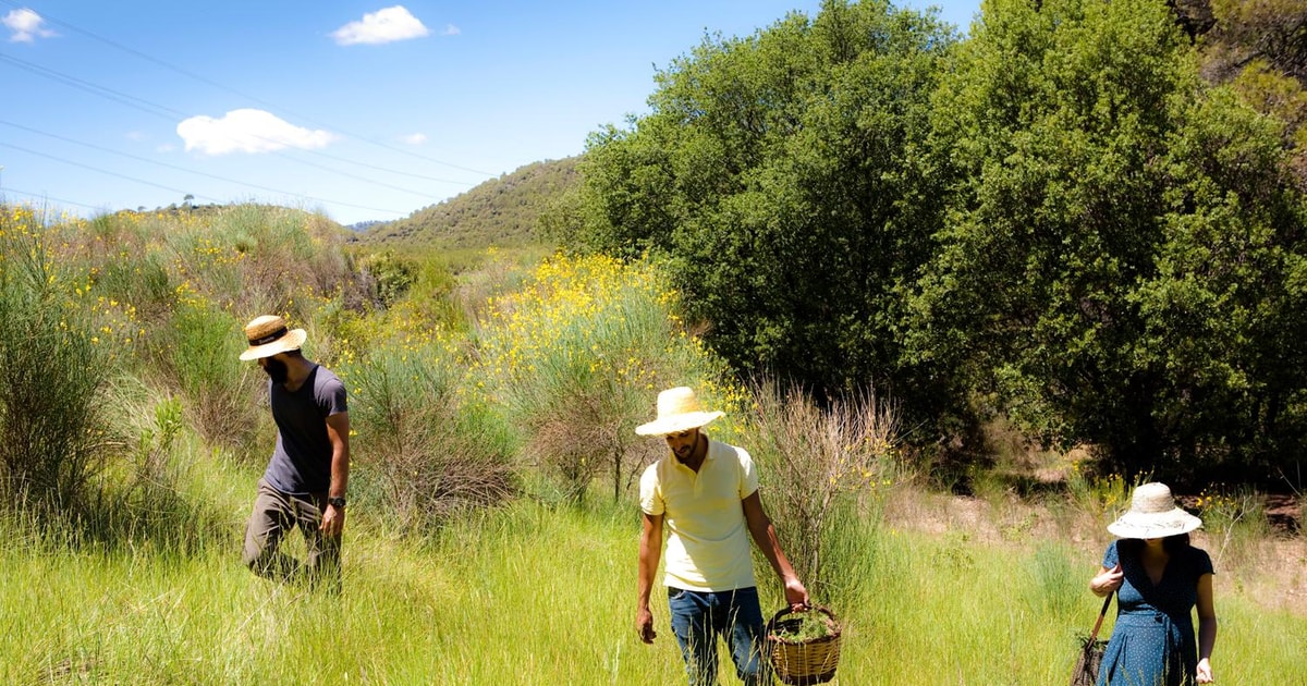 Passeggiata selvaggia: scopri la flora selvatica locale | GetYourGuide