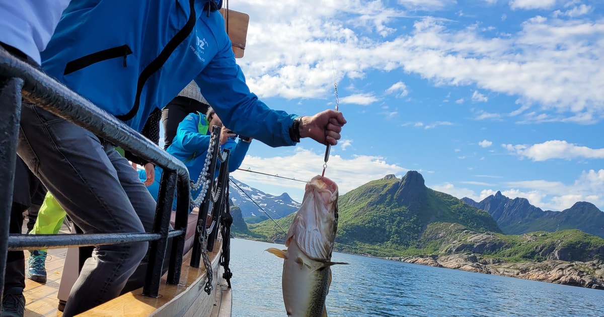 Lofoten: Fishing Adventure | GetYourGuide