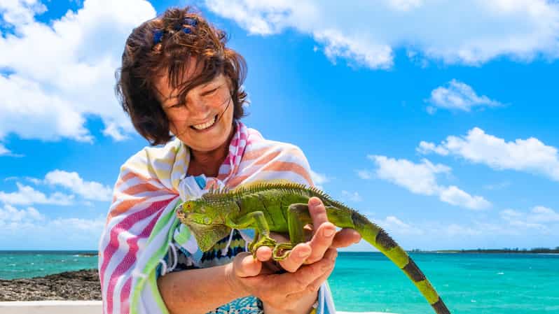 Nassau: Sun Cay Day Trip, Snorkel, Iguana Encounter, & Lunch | GetYourGuide