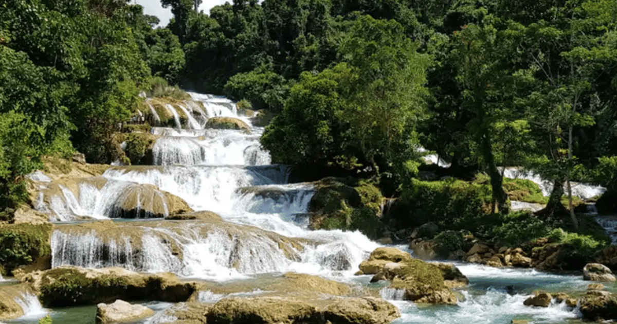 Davao Philippine Eagle + Malagos Garden Resort | GetYourGuide