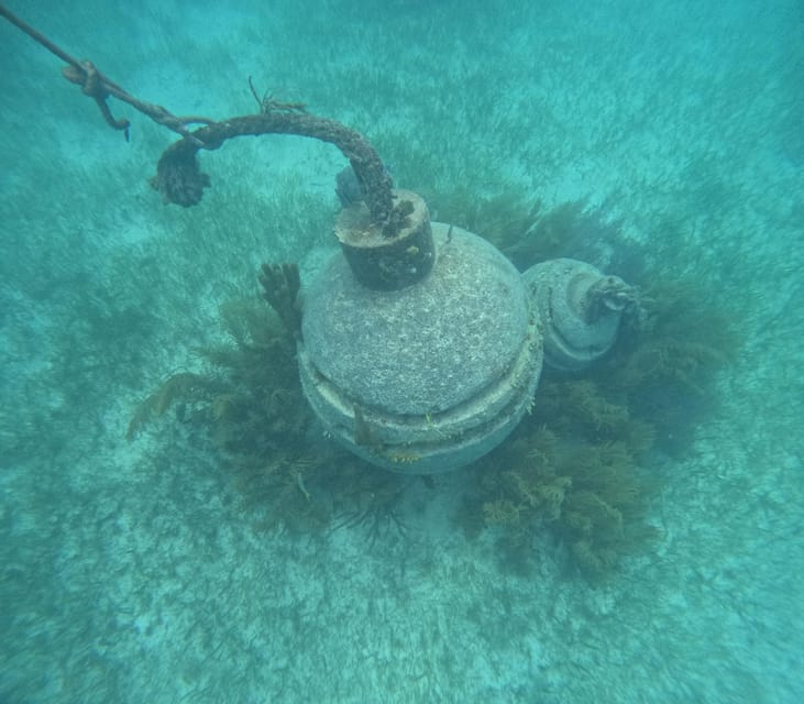 Snorkel Paradise Cancun and underwater museum in Nizuc | GetYourGuide
