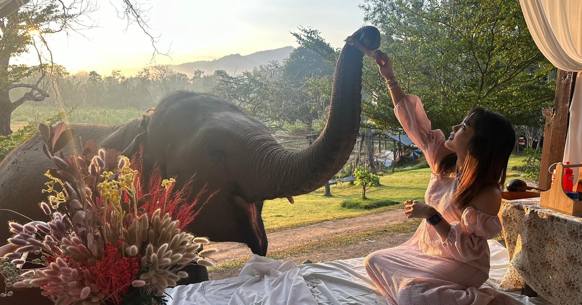 Chiang Mai: Good Morning Elephant & Overnight Home Stay | GetYourGuide