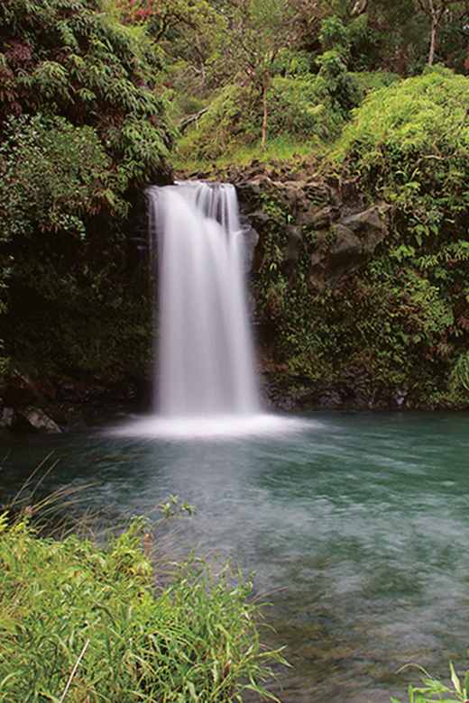 From Oahu: Maui Road to Hana Sightseeing Tour | GetYourGuide