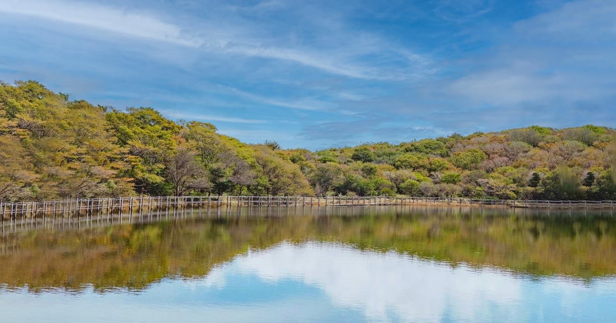Herb Island : Sanjung Lake : Strawberry : Bidulginang Tour | GetYourGuide