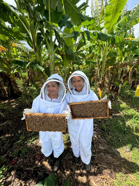Bee Farm Tour & Honey Tasting | GetYourGuide