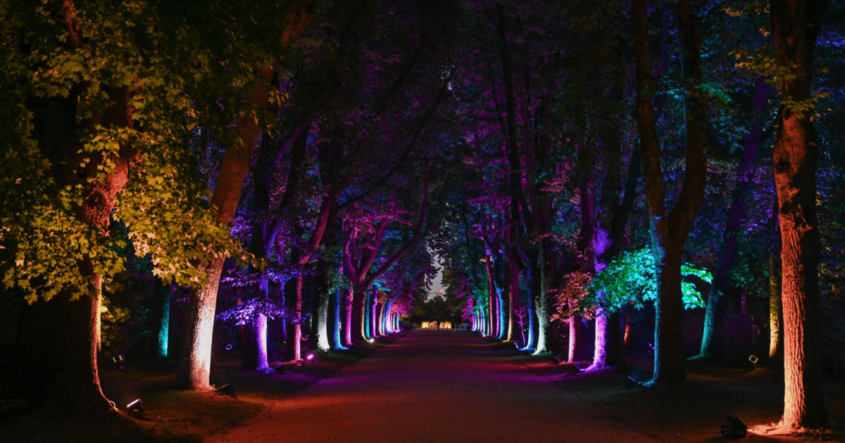 Porto: Serralves Em Luz Immersive Light Show Entry Ticket | GetYourGuide