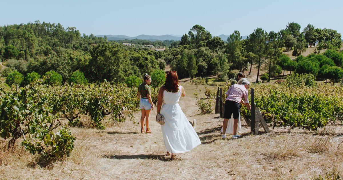 Tomar: Lunch tussen de wijngaarden | GetYourGuide