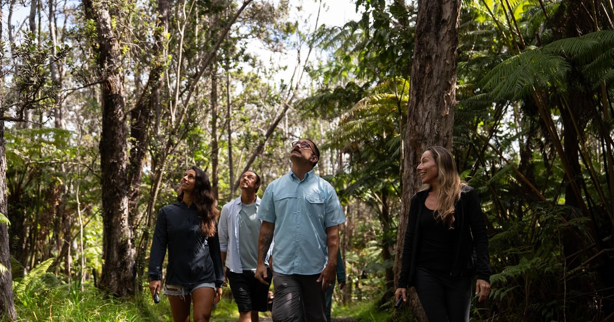 Volcano Explorer Tour | GetYourGuide