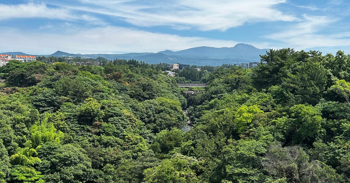 Jeju: tour a pie por la zona de Seogwipo Jungmun | GetYourGuide