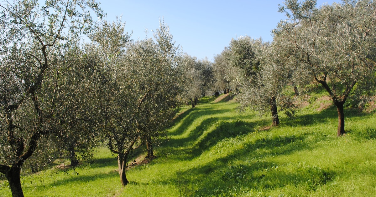 Crete: Sunset & Flavors of Crete Tour in the Countryside | GetYourGuide