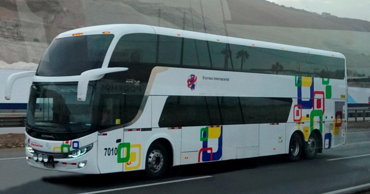 Direct Bus from Cusco to Puerto Maldonado | GetYourGuide