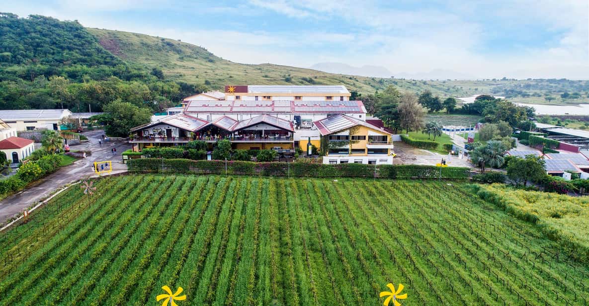 Wine Tasting Day Tour Sula Vineyards Nashik from Mumbai | GetYourGuide